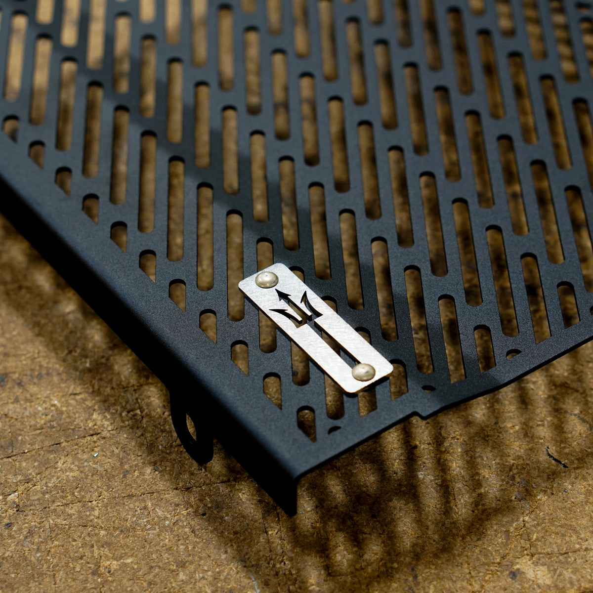 Triumph Trident 660 & 800 Front Radiator Guard – Brogue Motorcycles